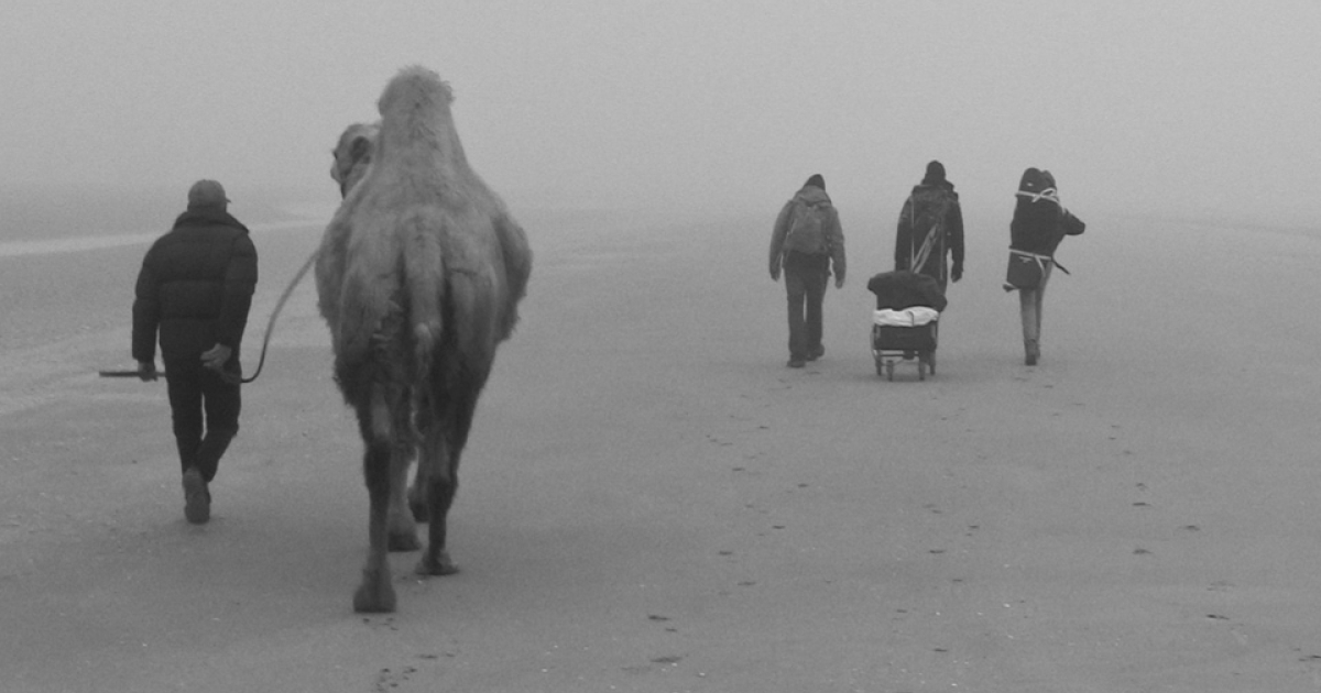 Hanne De Backer - As We Walk + g a b b r o | Kaap